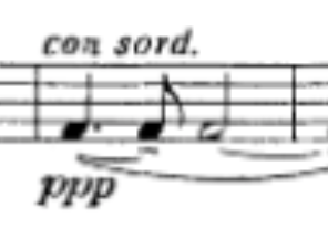 【実録】失敗しない！バイオリンミュートの選び方とおすすめ3選